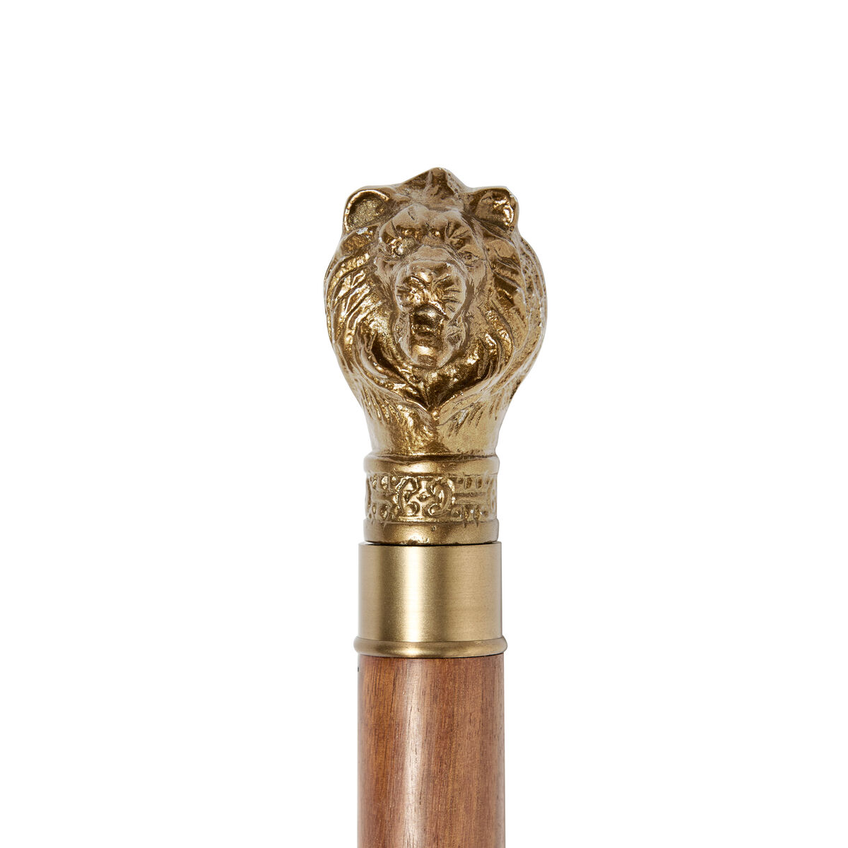 Decorative Lion Head Walking Stick | Timber & Cast Metal | Paradox ...